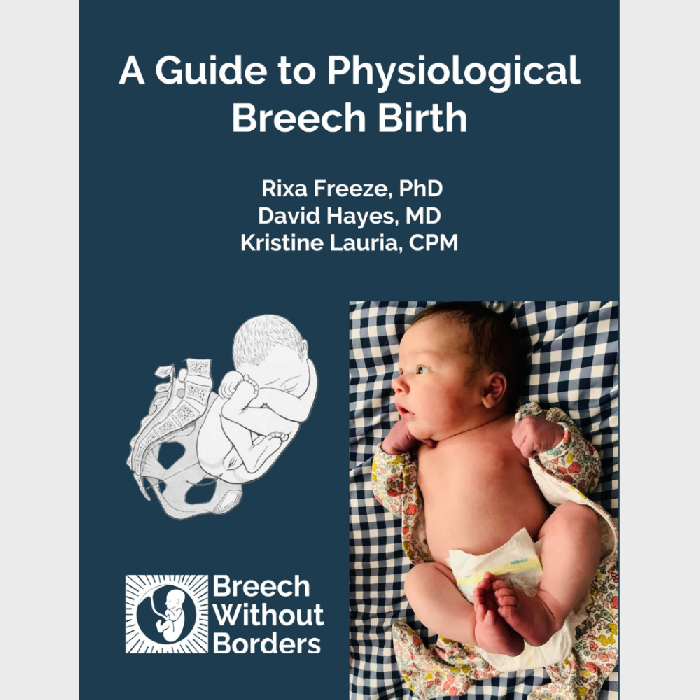 A Guide to Physiological Breech Birth (1st edition)